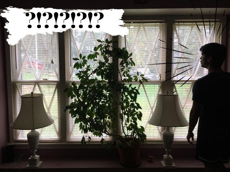 Life After Education, An Allegory: Uncertainty and What To Do – THE ...