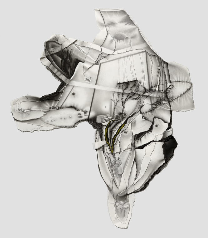 Art on Paper at the Weatherspoon – THE CAROLINIAN