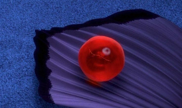 Why Do Pixar Movies Always Make Me Cry? – THE CAROLINIAN